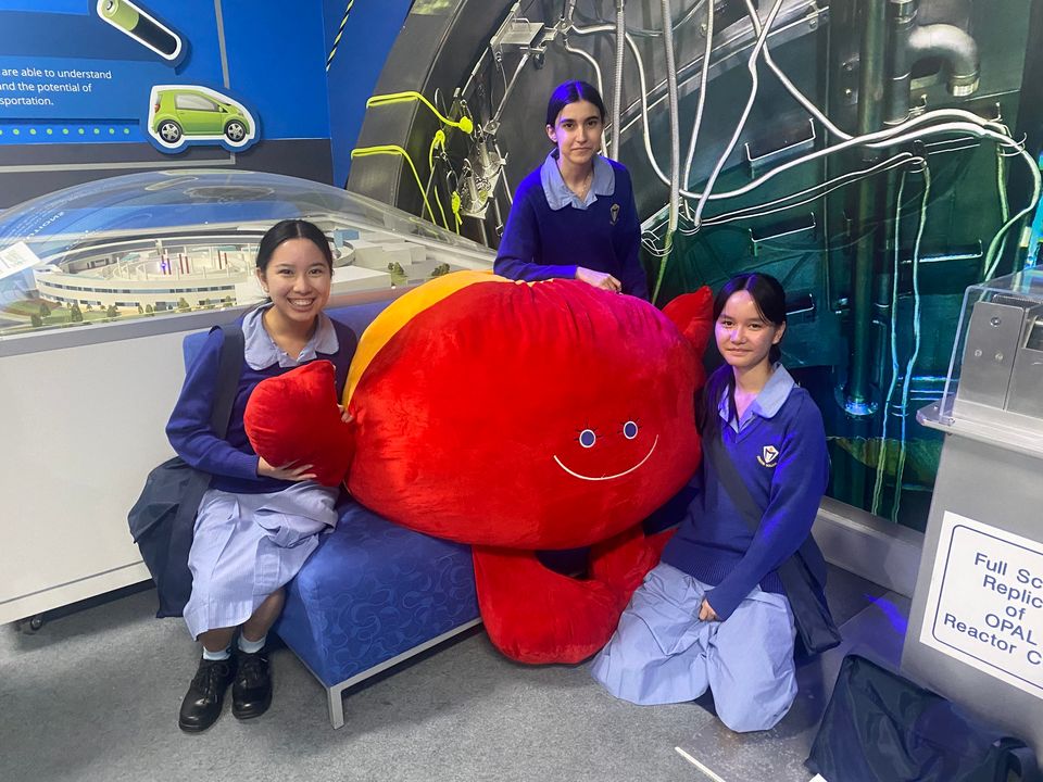 Cerdon College | Merrylands